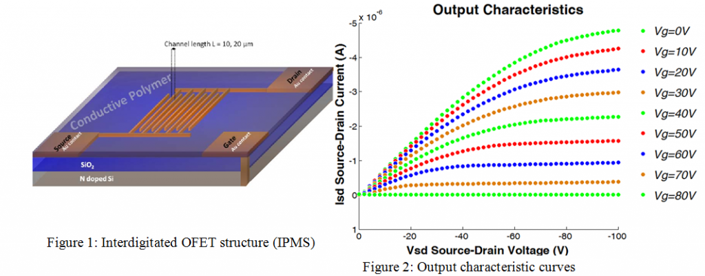 People – Eduard Mikayelyan – SMPG-Siegen